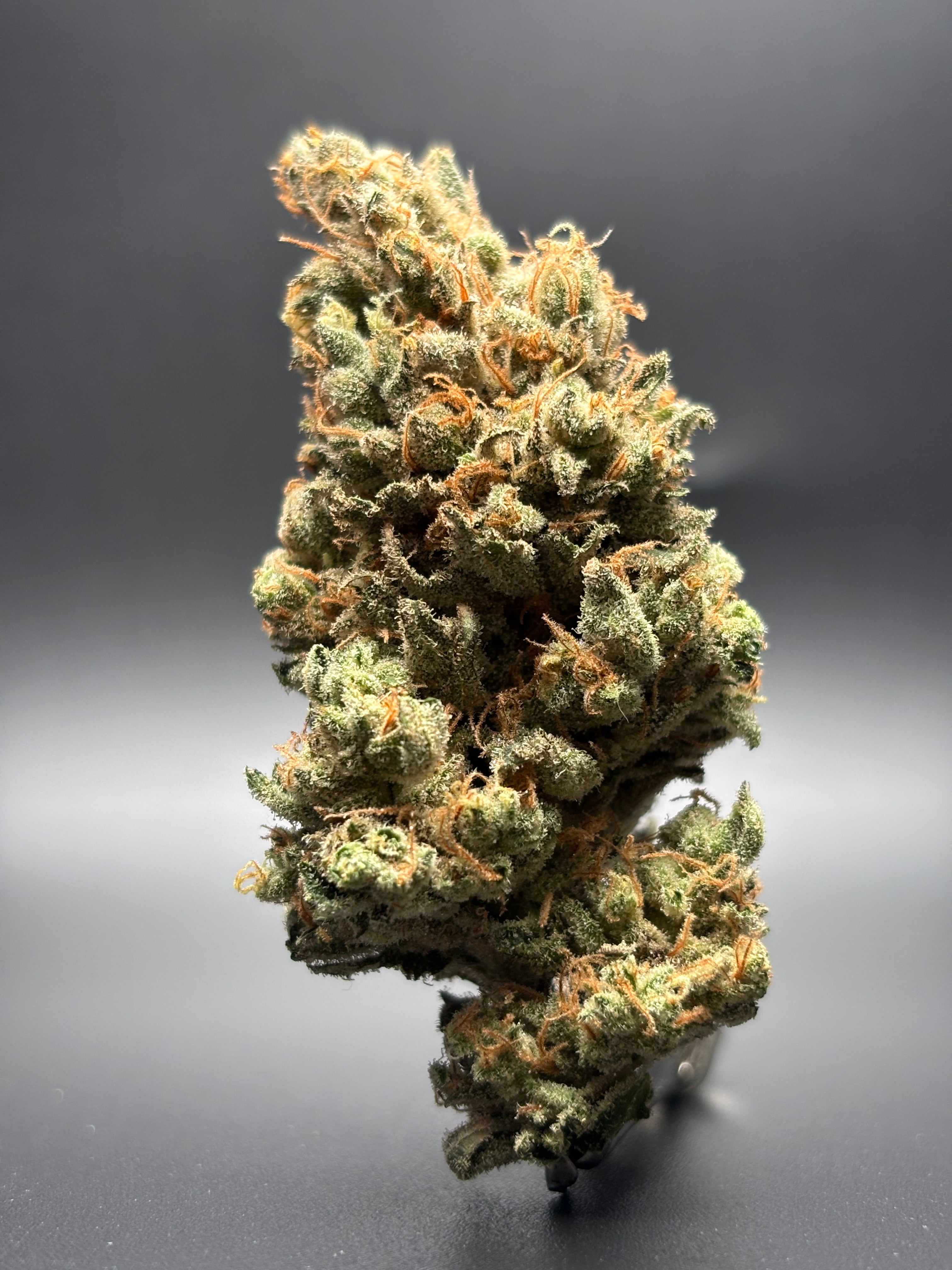 👥 Best Cannabis Strains for Social Settings – Clone to Home